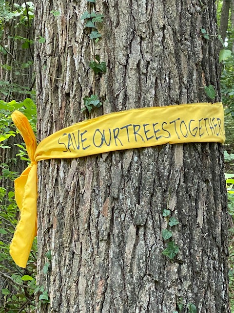 News - Save Our Trees
